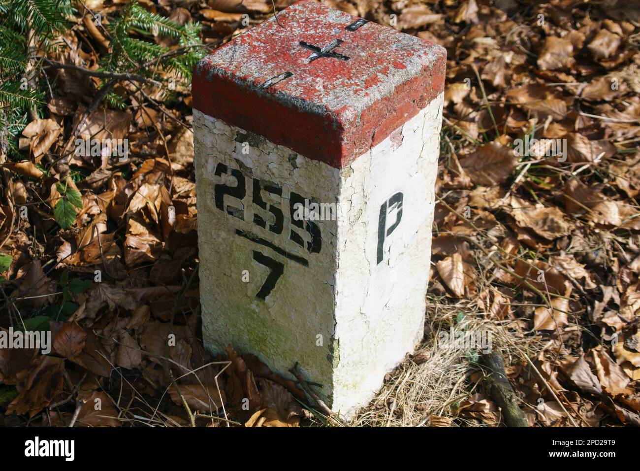 national border pole sign in the mountains on a hiking trail in Krynica ...