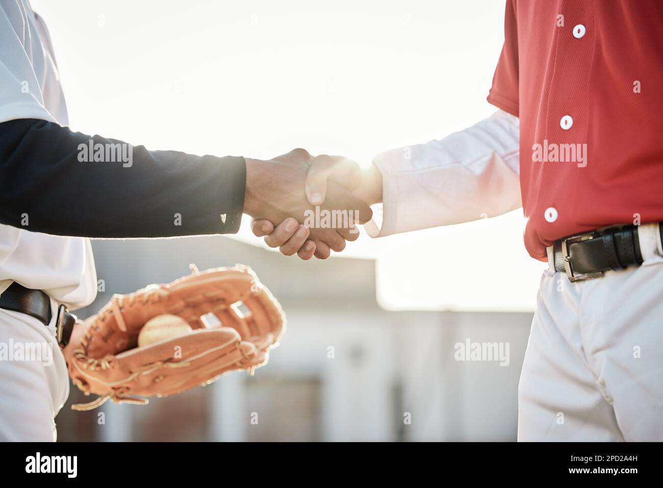 Baseball, sports or handshake for team greeting, introduction or ...