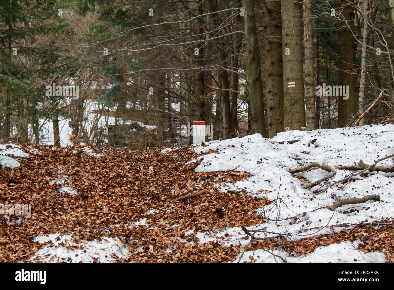 national border pole sign in the mountains on a hiking trail in Krynica ...