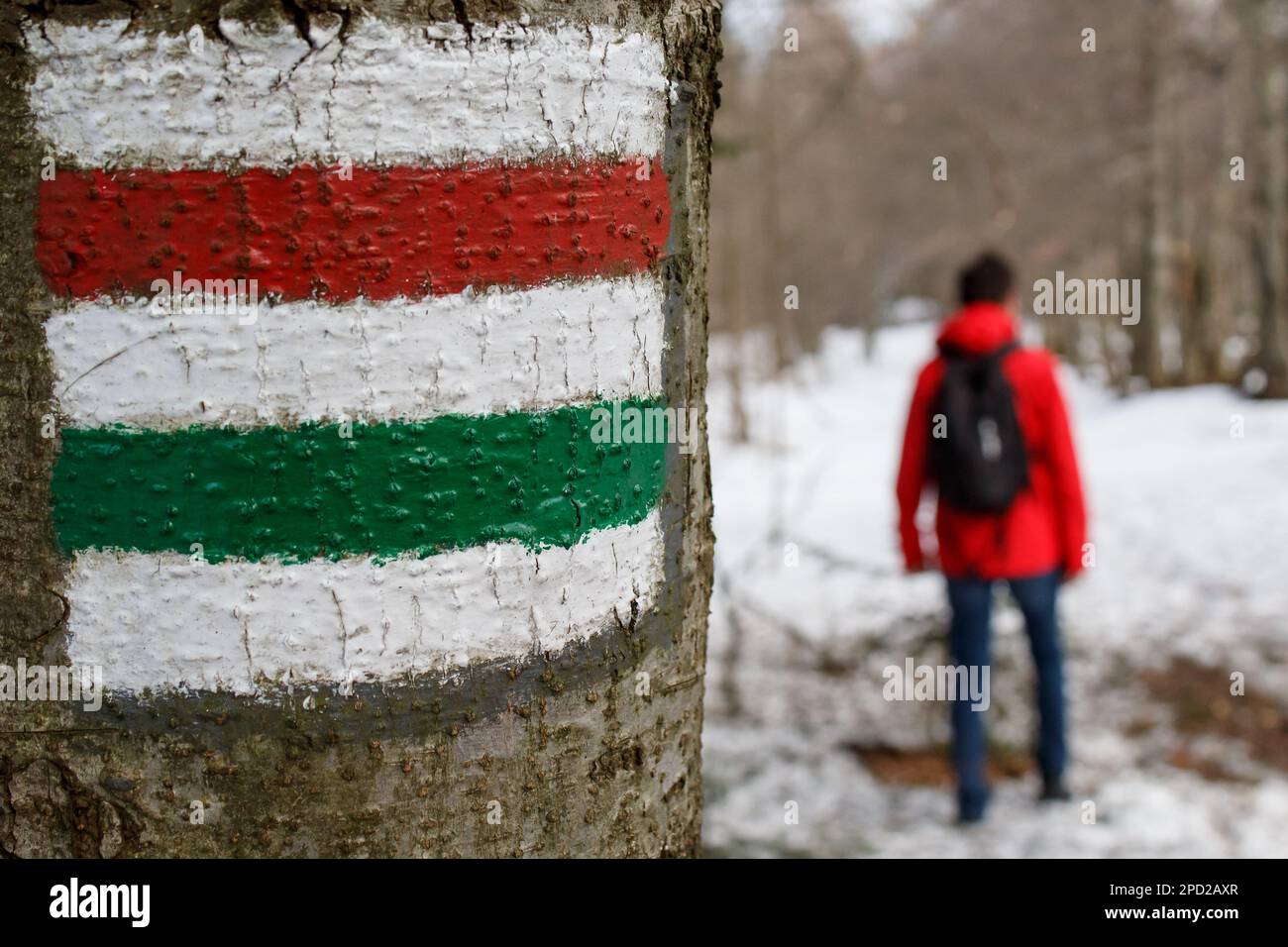 Europe hiking person hi-res stock photography and images - Alamy