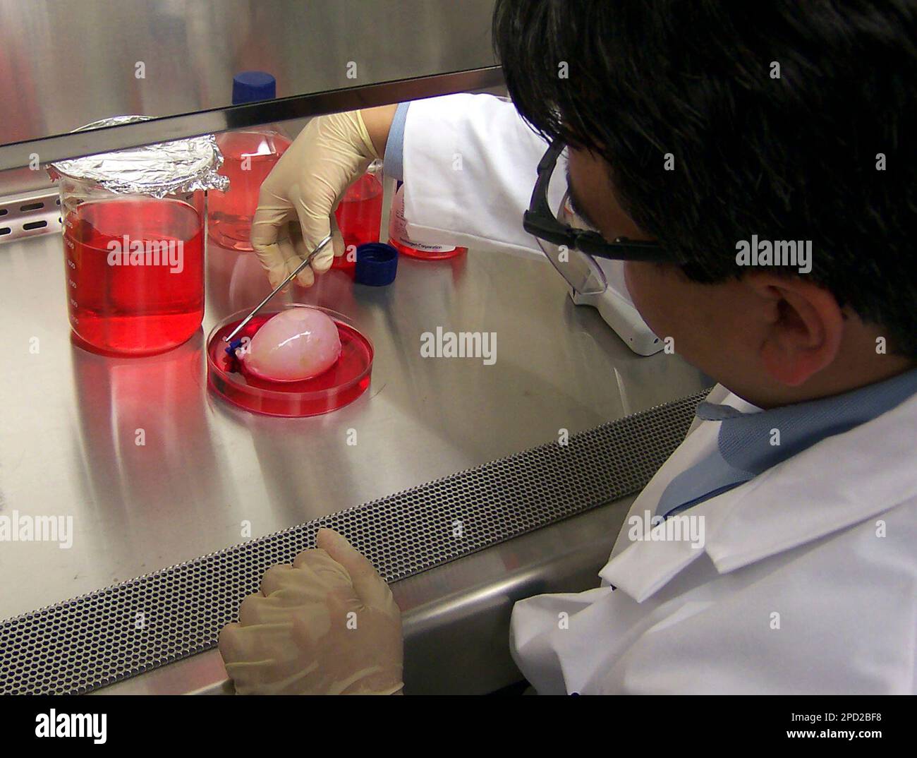 **FILE** Dr. Daniel Eberli of the Institute for Regenerative Medicine ...