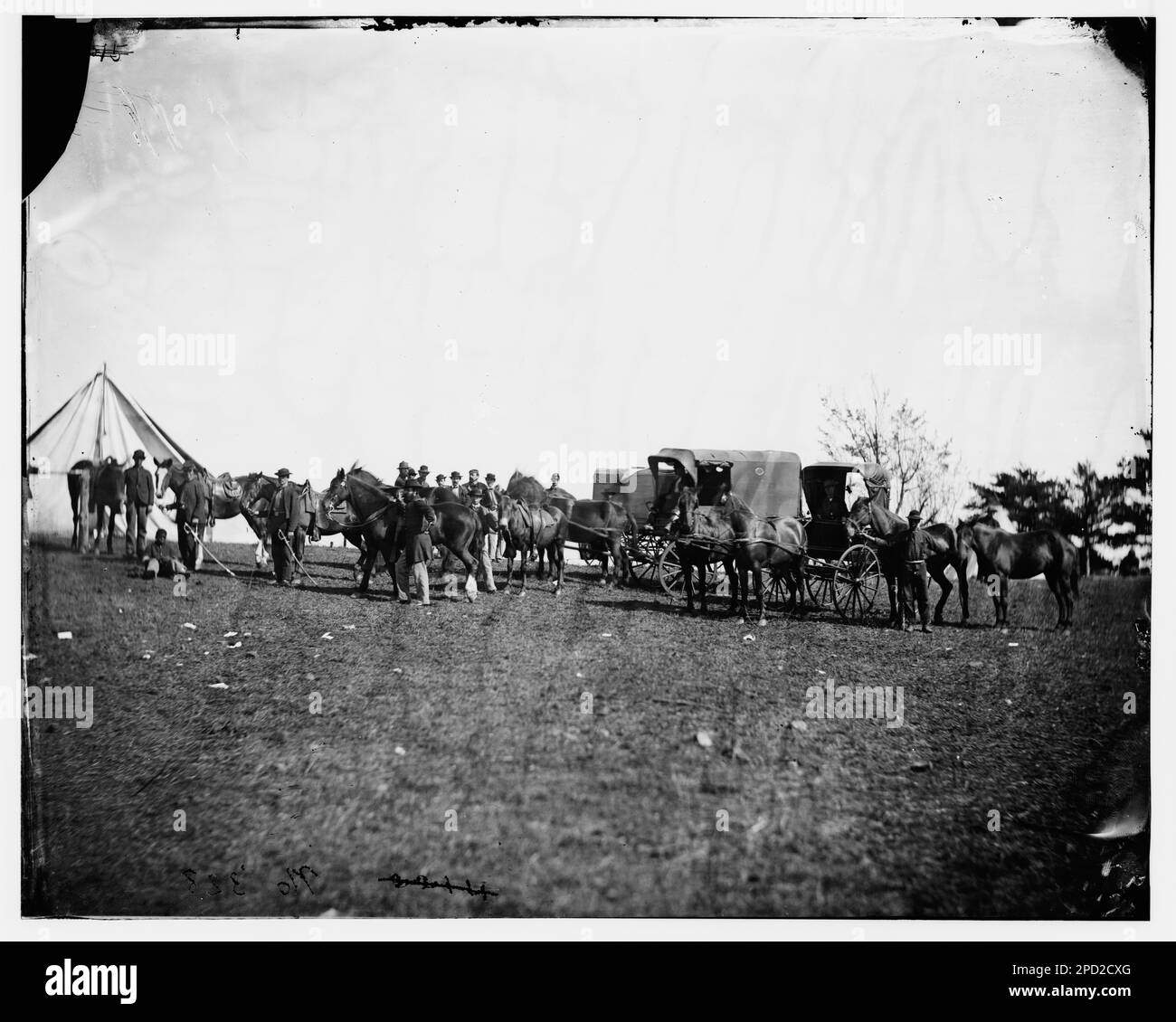 Culpeper, Virginia. Captain Pierce's private horses, wagons, etc ...