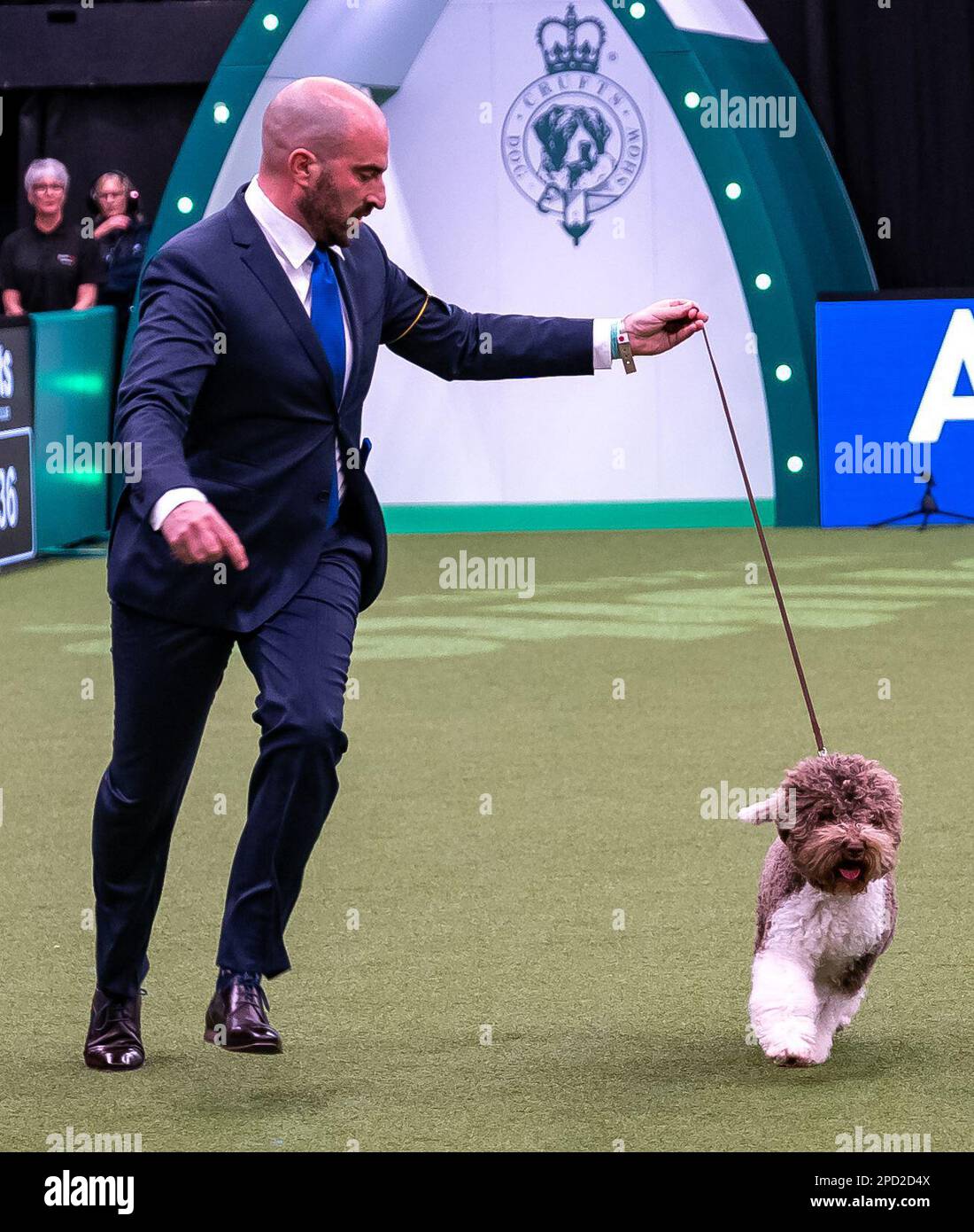 JAVIER GONZALEZ MENICOTE from Croatia with Lagotto Romangnolo Orca Best ...