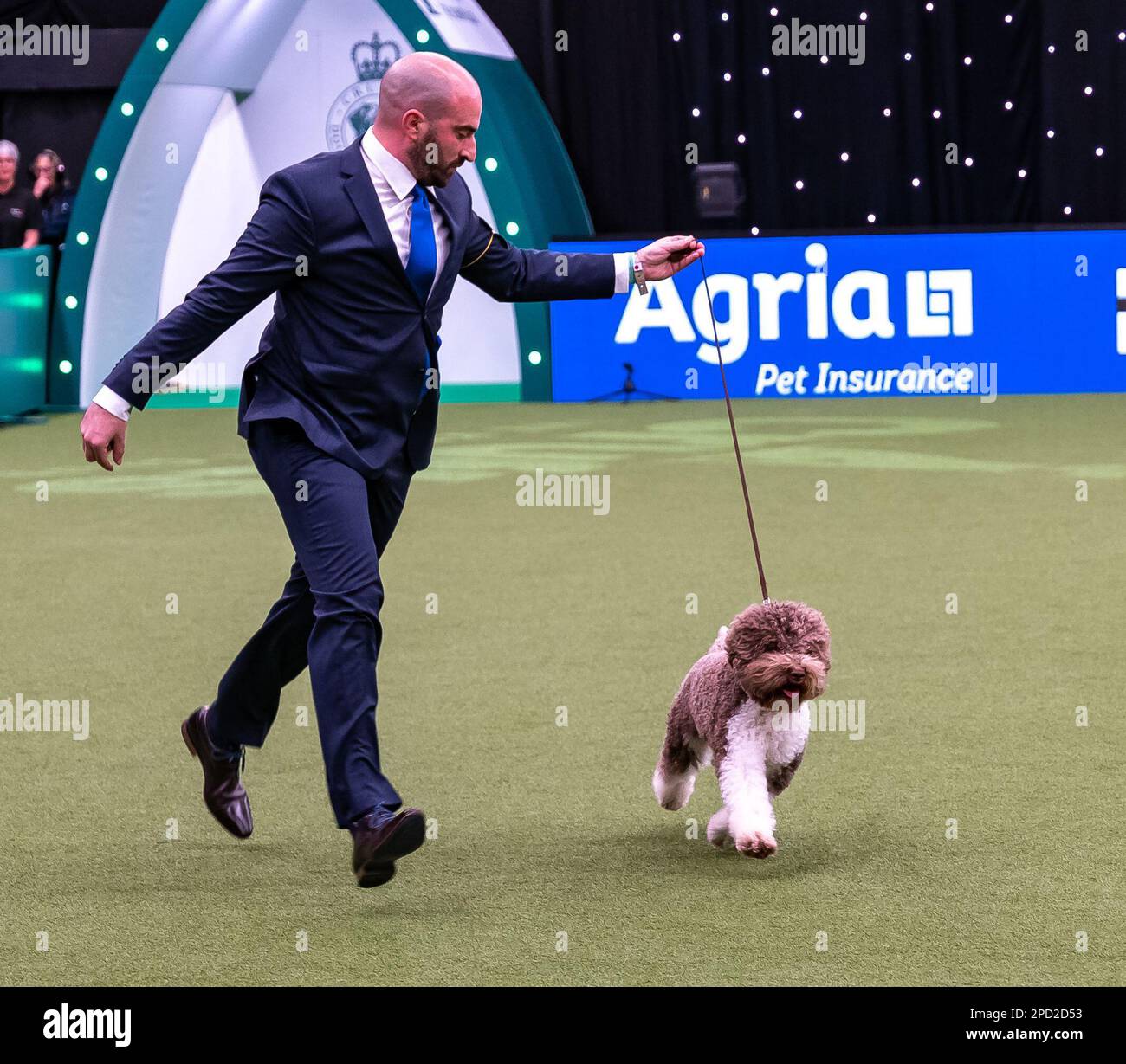 JAVIER GONZALEZ MENICOTE from Croatia with Lagotto Romangnolo Orca Best ...