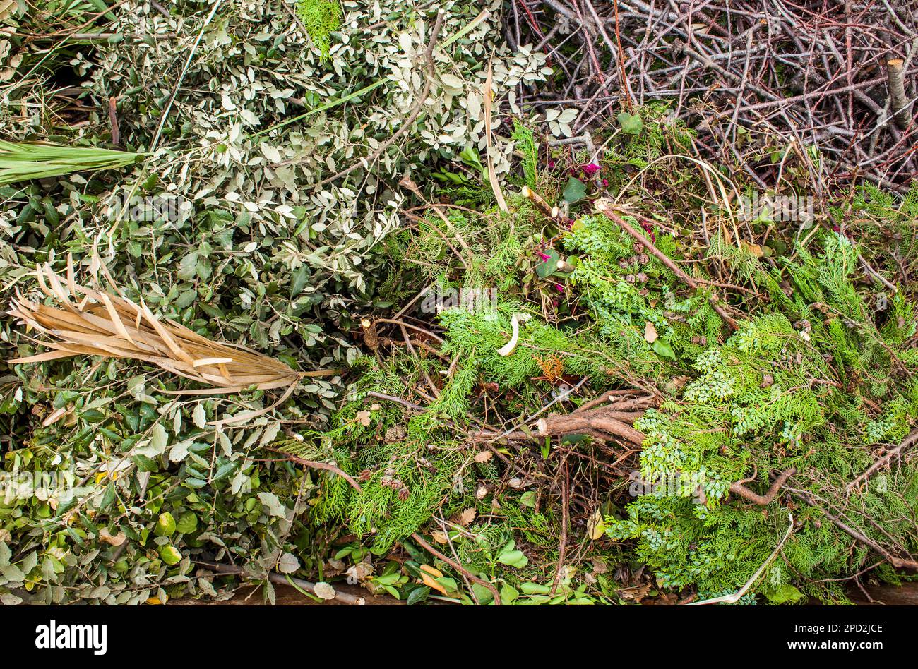 Waste conversion plant hi-res stock photography and images - Alamy