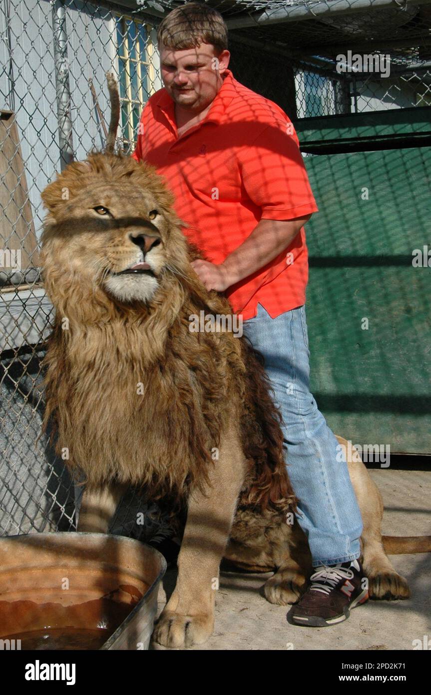 Barry Collins, 27, sits on the back of his pet lion named Kitty ...