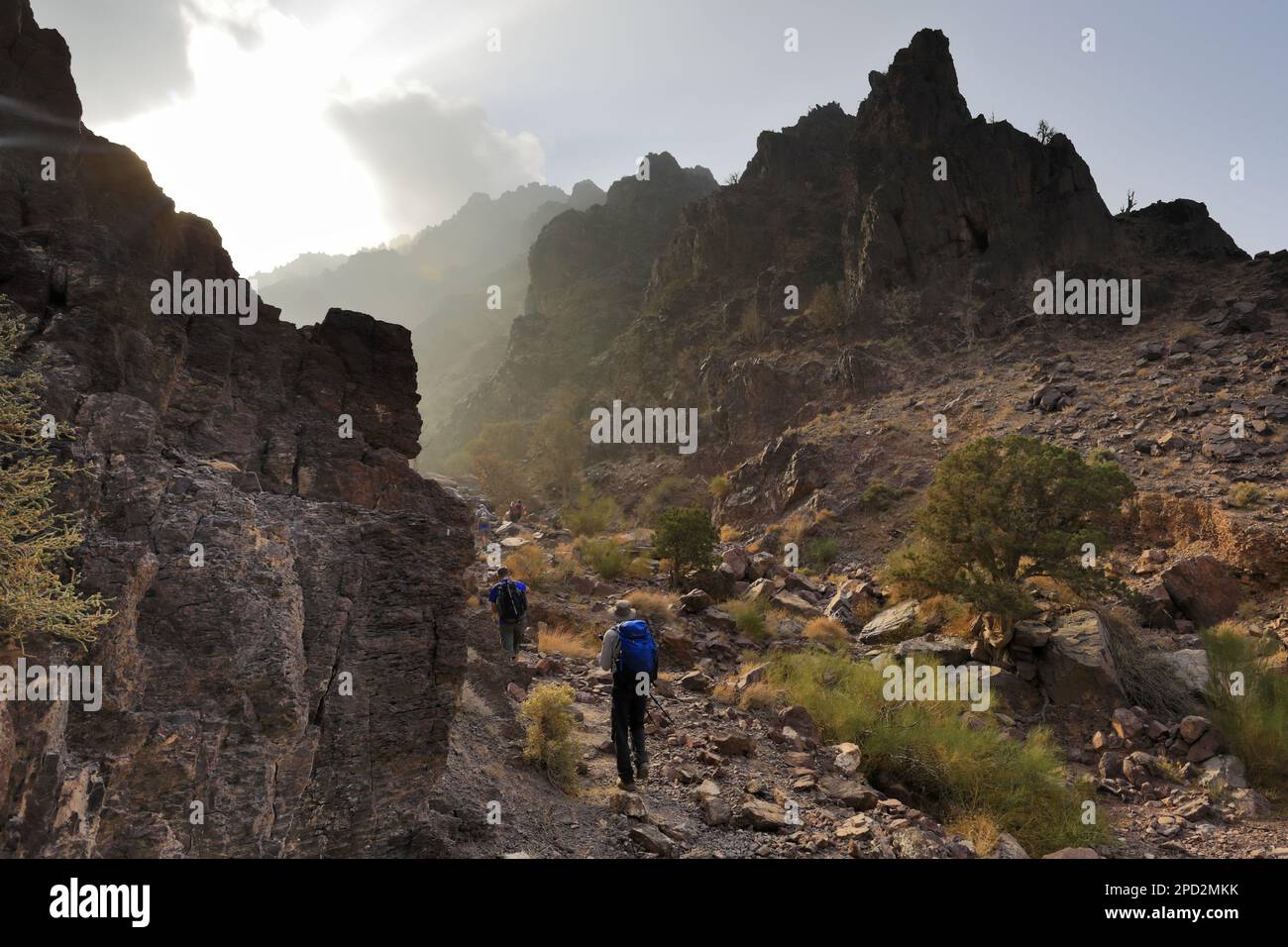 View through the Naqad Gulley, Jabal Fied, Al-Sharat area of Jordan ...