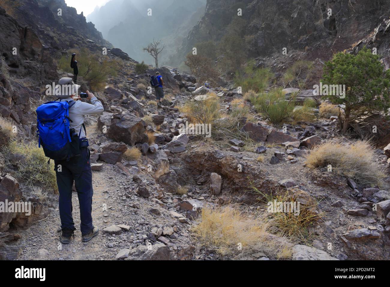 Walkers in the Naqad Gulley, Jabal Fied, Al-Sharat area of Jordan ...