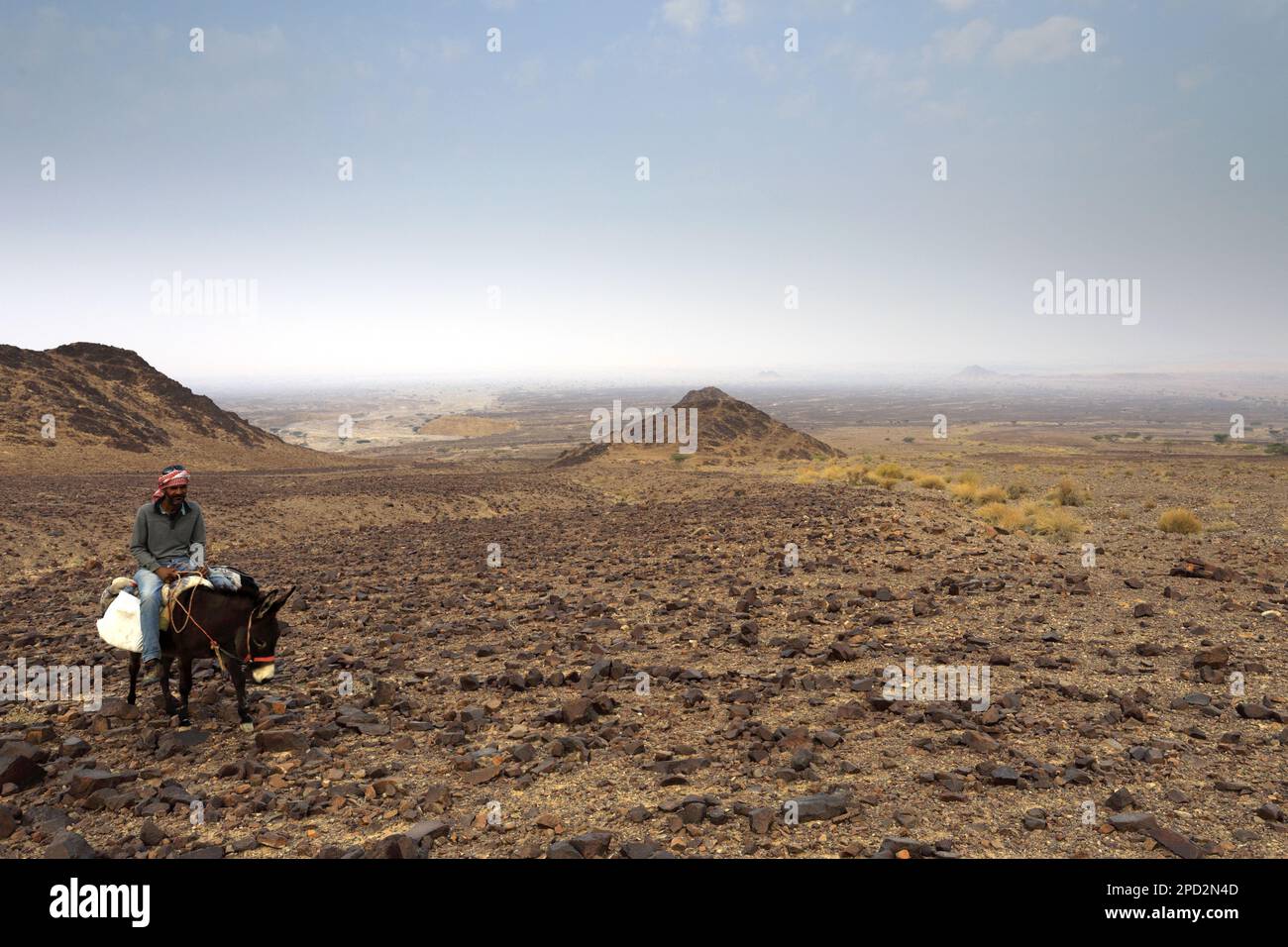Traditional Bedouin Shepherd In Wadi Barwas Wadi Araba Desert South Central Jordan Middle