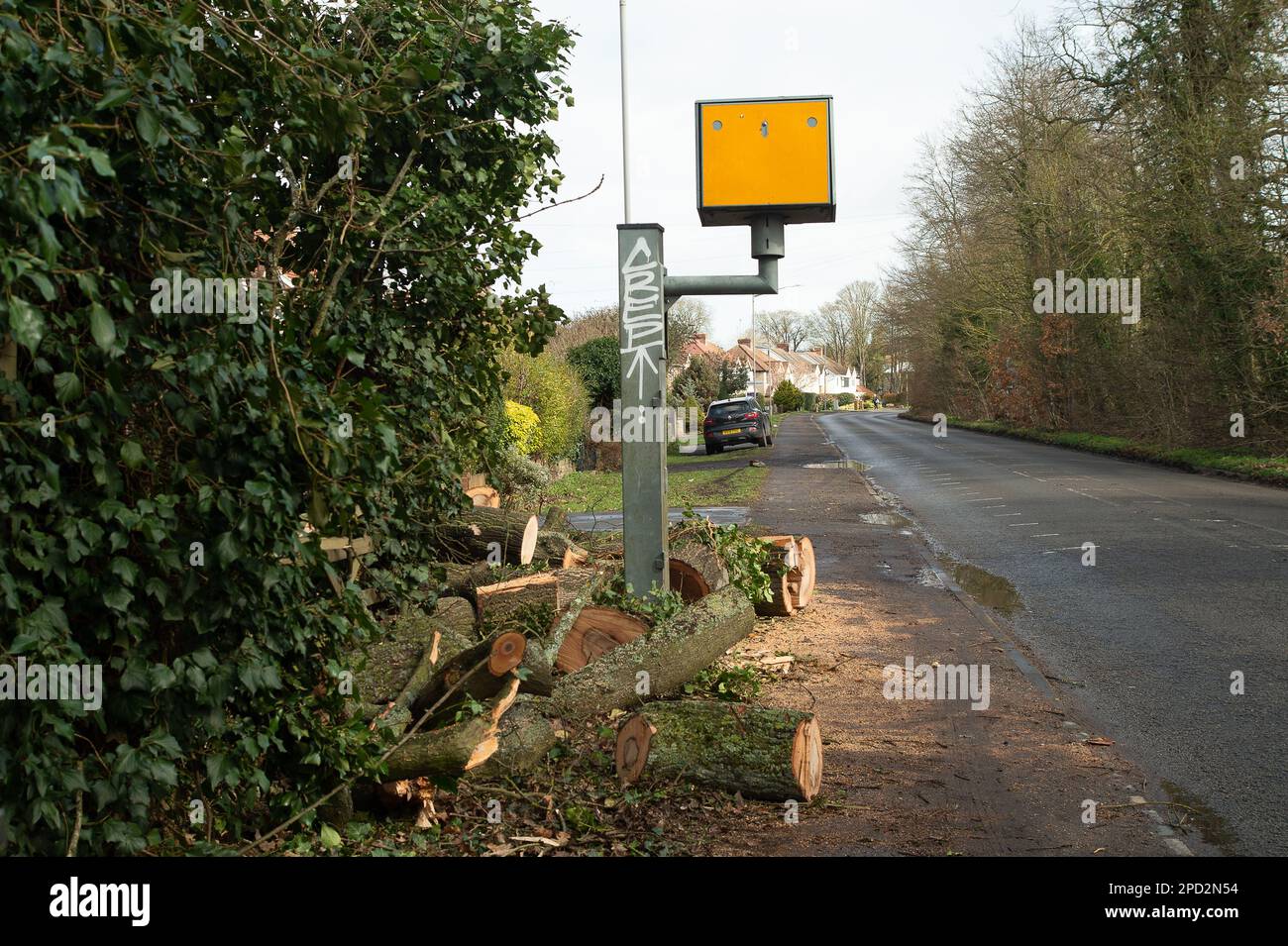 Iver, Buckinghamshire, UK. 14th March, 2023. The remains of an old oak ...