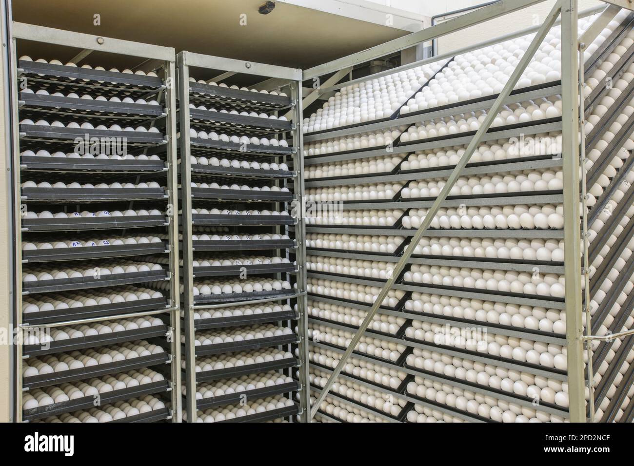 Industrial egg incubator machine hi-res stock photography and images ...