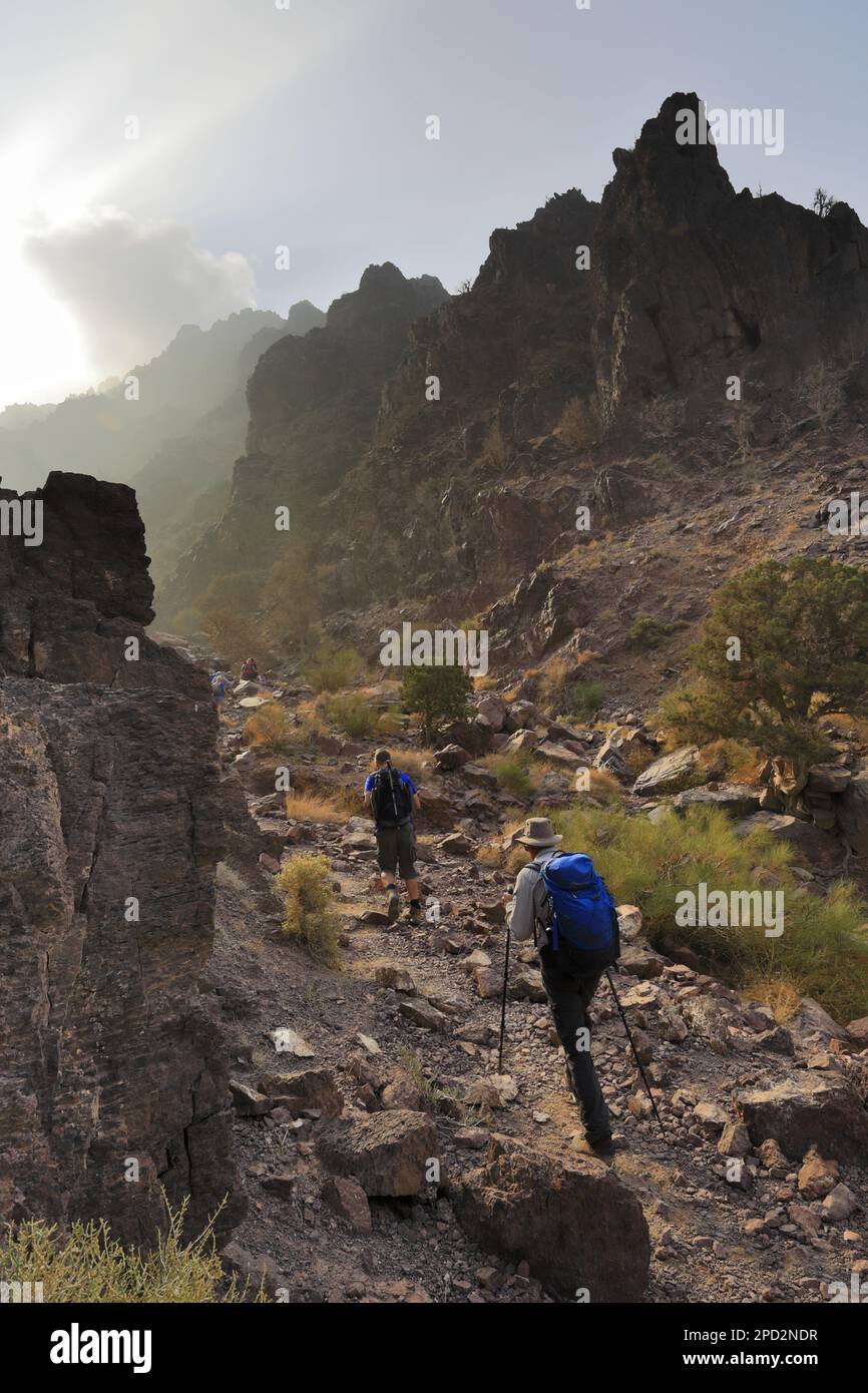 View through the Naqad Gulley, Jabal Fied, Al-Sharat area of Jordan ...