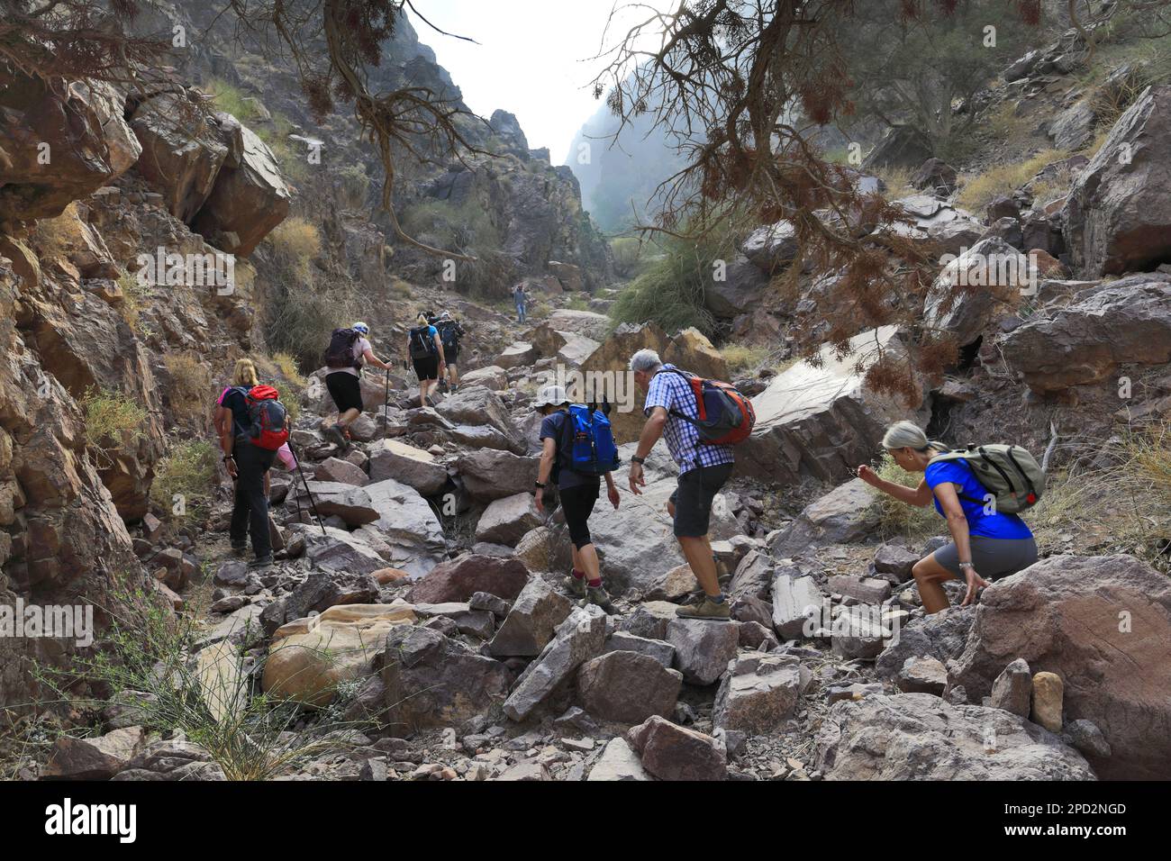 Naqad gulley canyon hi-res stock photography and images - Alamy