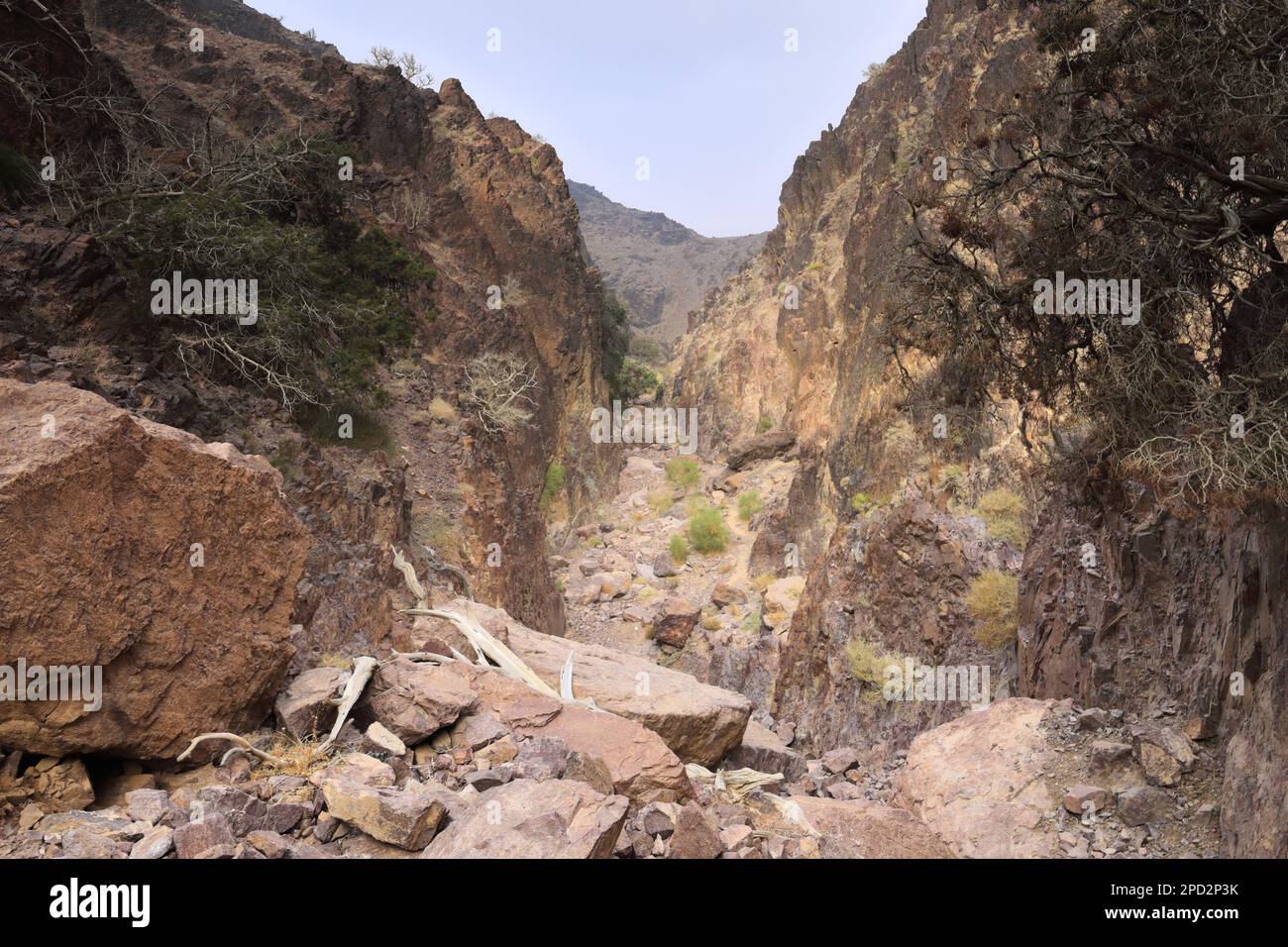 View through the Naqad Gulley, Jabal Fied, Al-Sharat area of Jordan ...