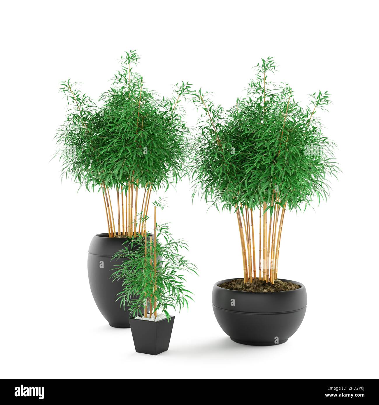 Two 3D rendered tall pots with plants on white surface Stock Photo - Alamy