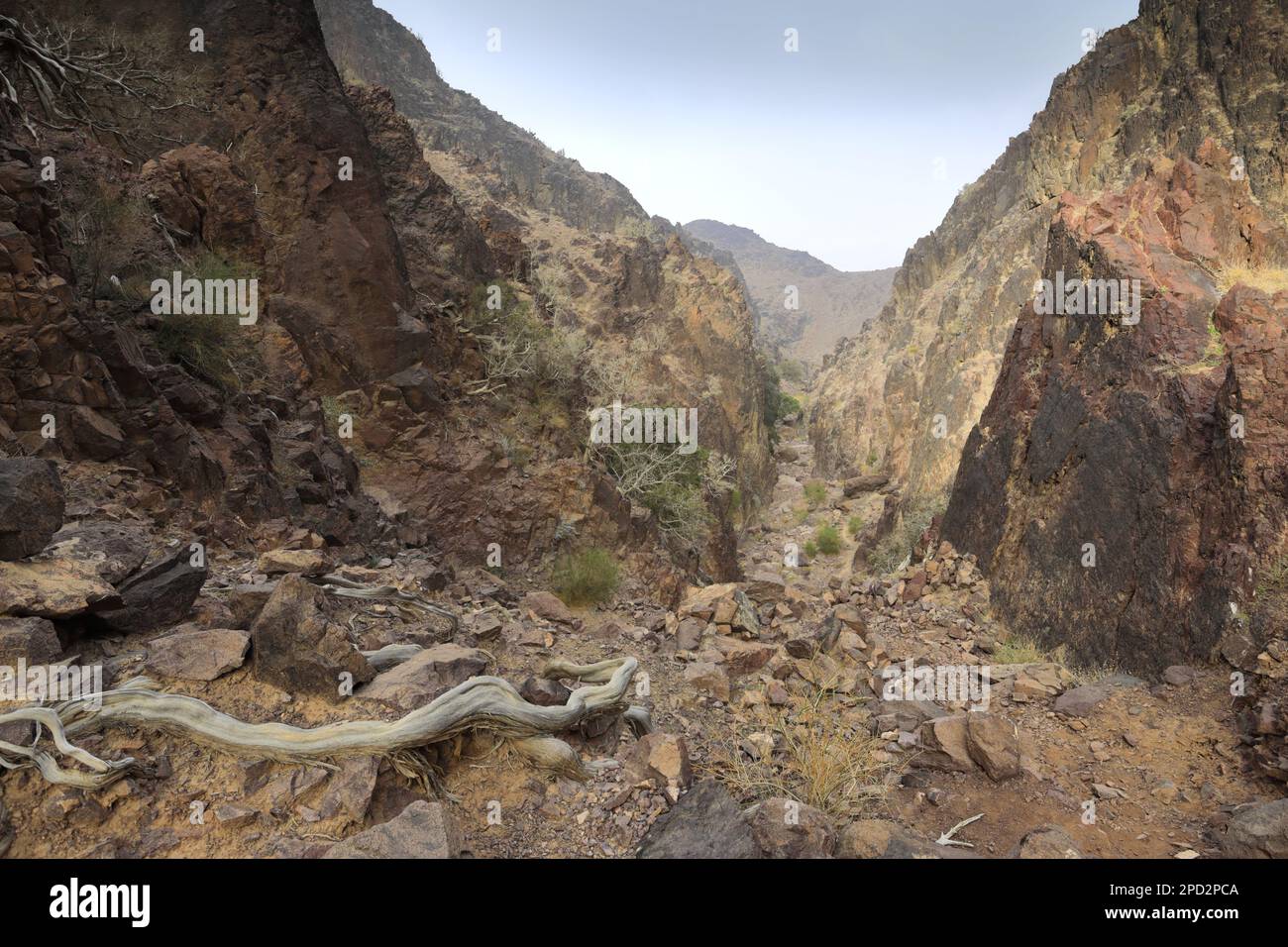 View through the Naqad Gulley, Jabal Fied, Al-Sharat area of Jordan ...