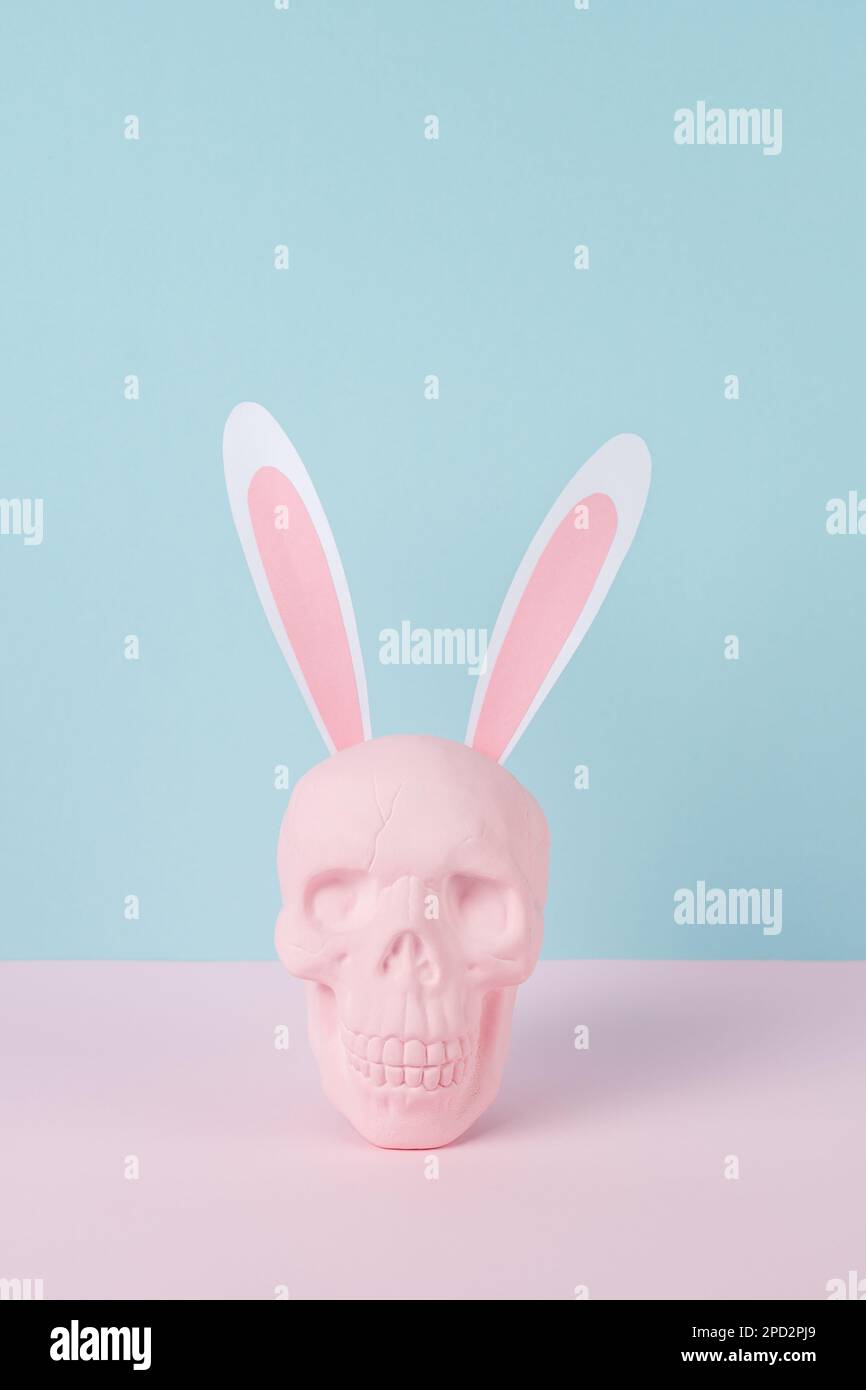 Rabbit skeleton hi-res stock photography and images - Alamy