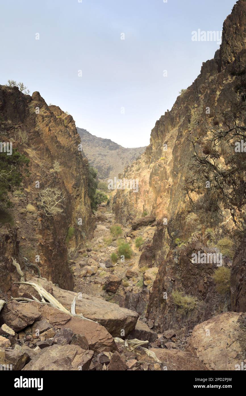 View through the Naqad Gulley, Jabal Fied, Al-Sharat area of Jordan ...