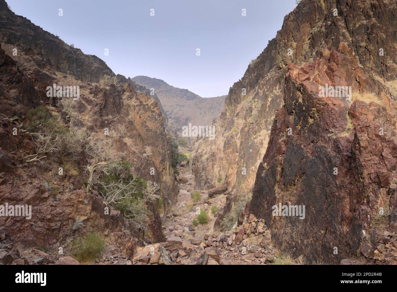 View through the Naqad Gulley, Jabal Fied, Al-Sharat area of Jordan ...