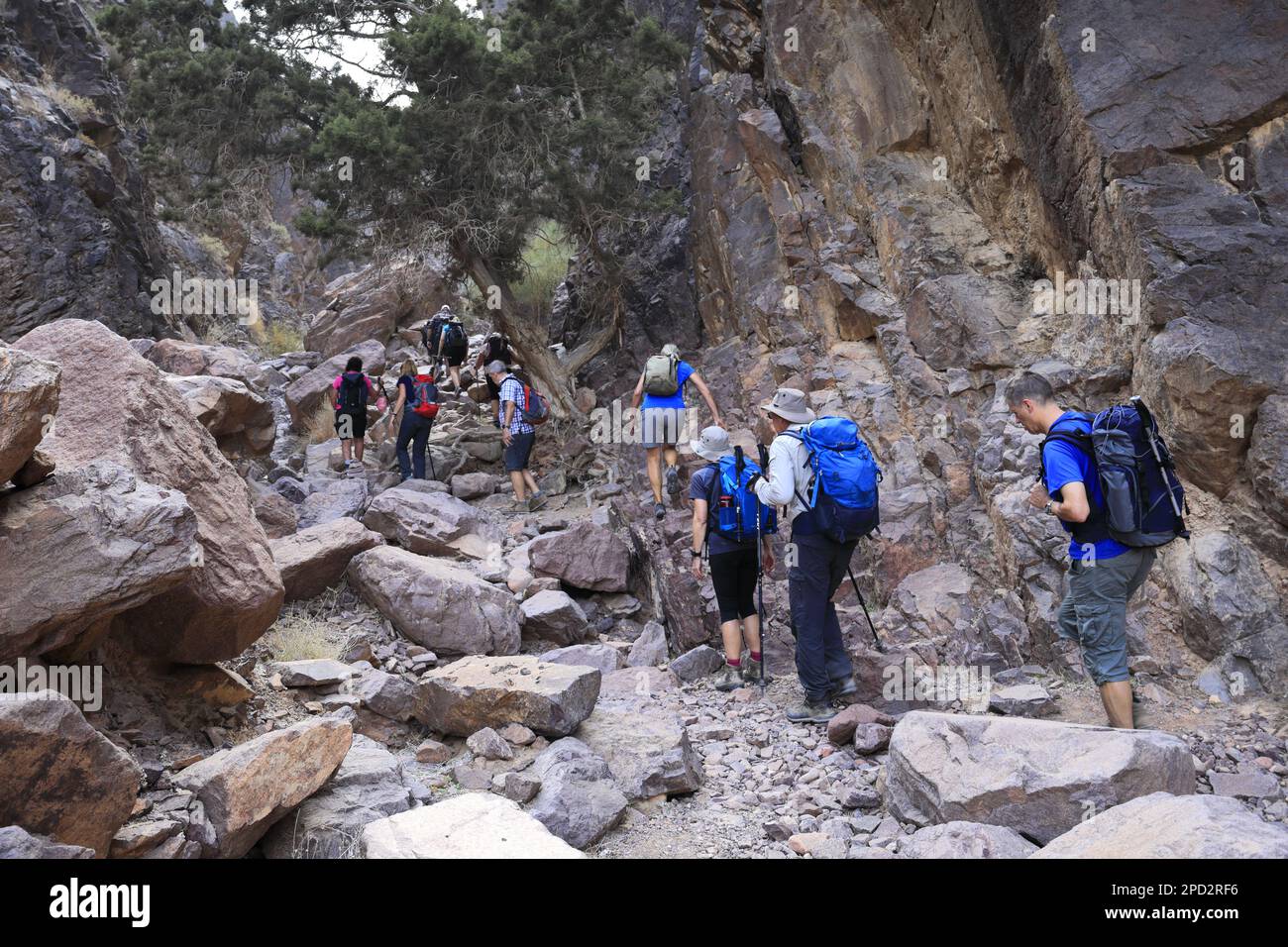 Walkers in the Naqad Gulley, Jabal Fied, Al-Sharat area of Jordan ...