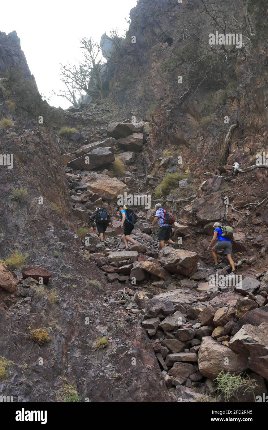 Walkers in the Naqad Gulley, Jabal Fied, Al-Sharat area of Jordan ...