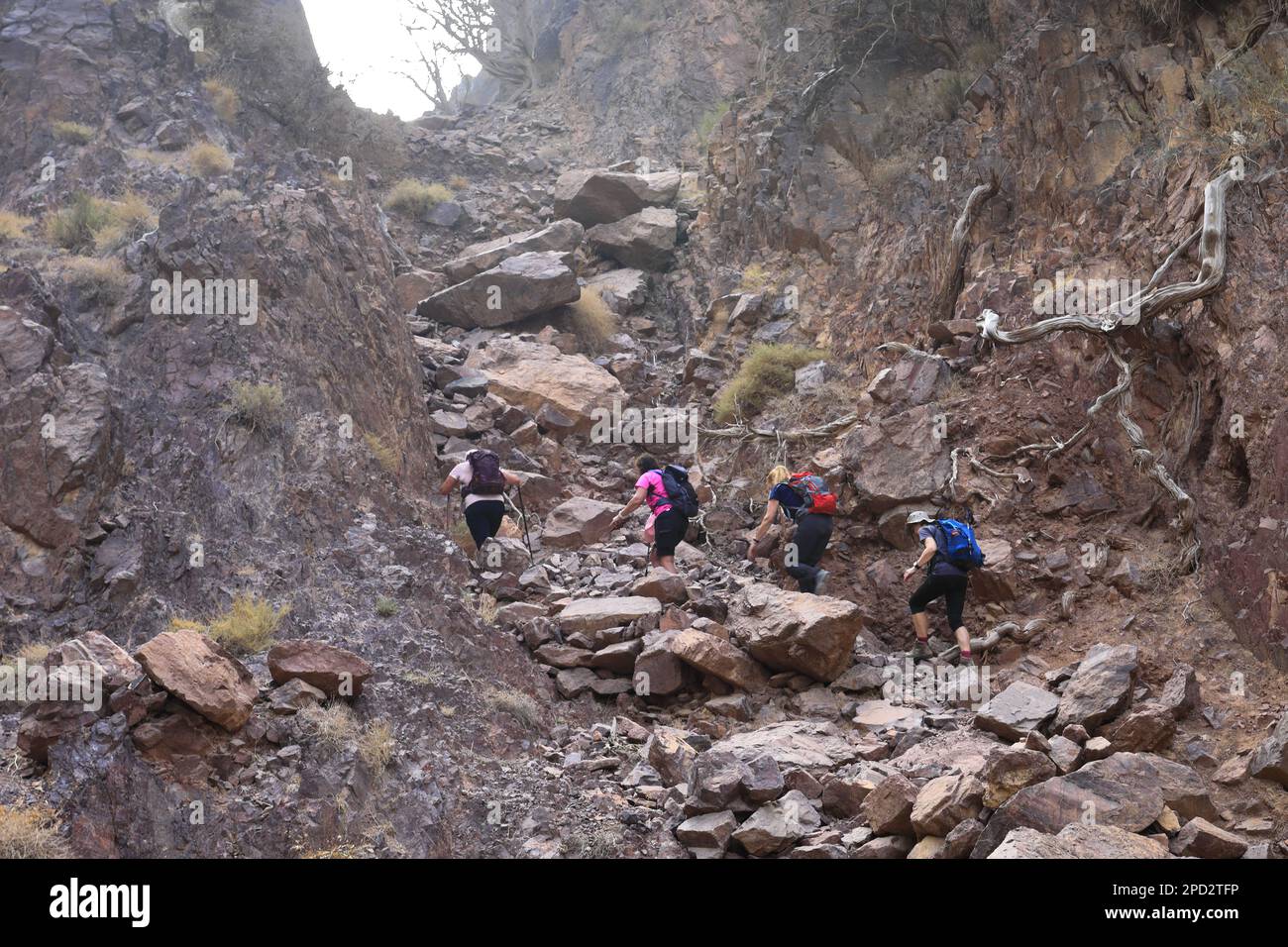 Walkers in the Naqad Gulley, Jabal Fied, Al-Sharat area of Jordan ...