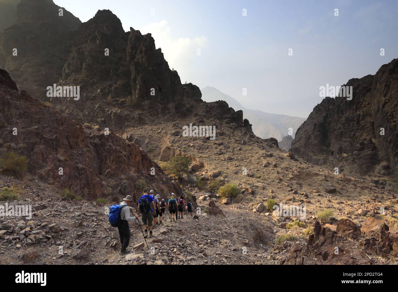 Wadi barwas wild camp hi-res stock photography and images - Alamy
