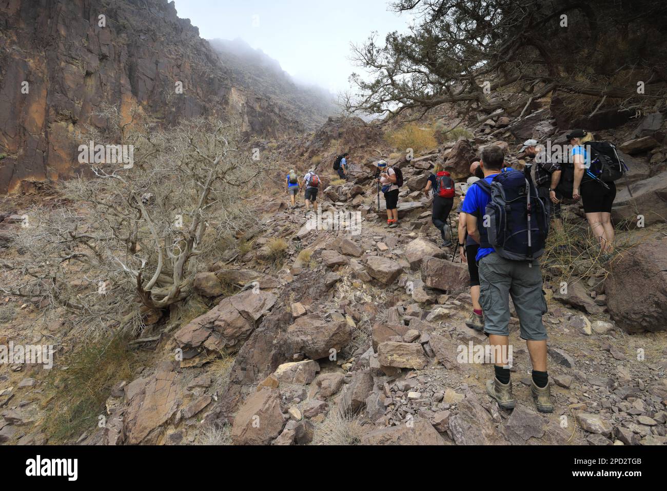 Walkers in the Naqad Gulley, Jabal Fied, Al-Sharat area of Jordan ...