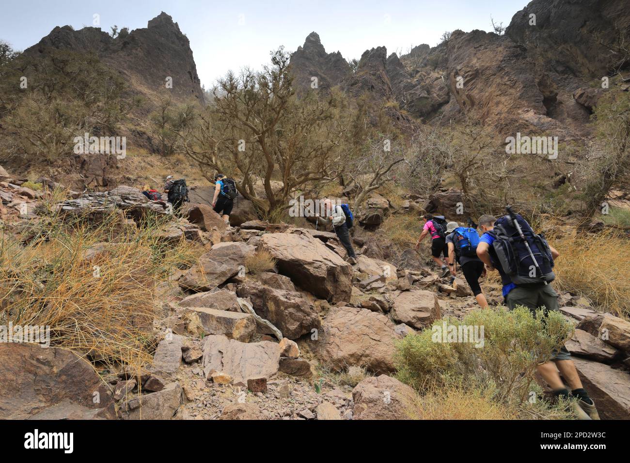 Walkers in the Naqad Gulley, Jabal Fied, Al-Sharat area of Jordan ...