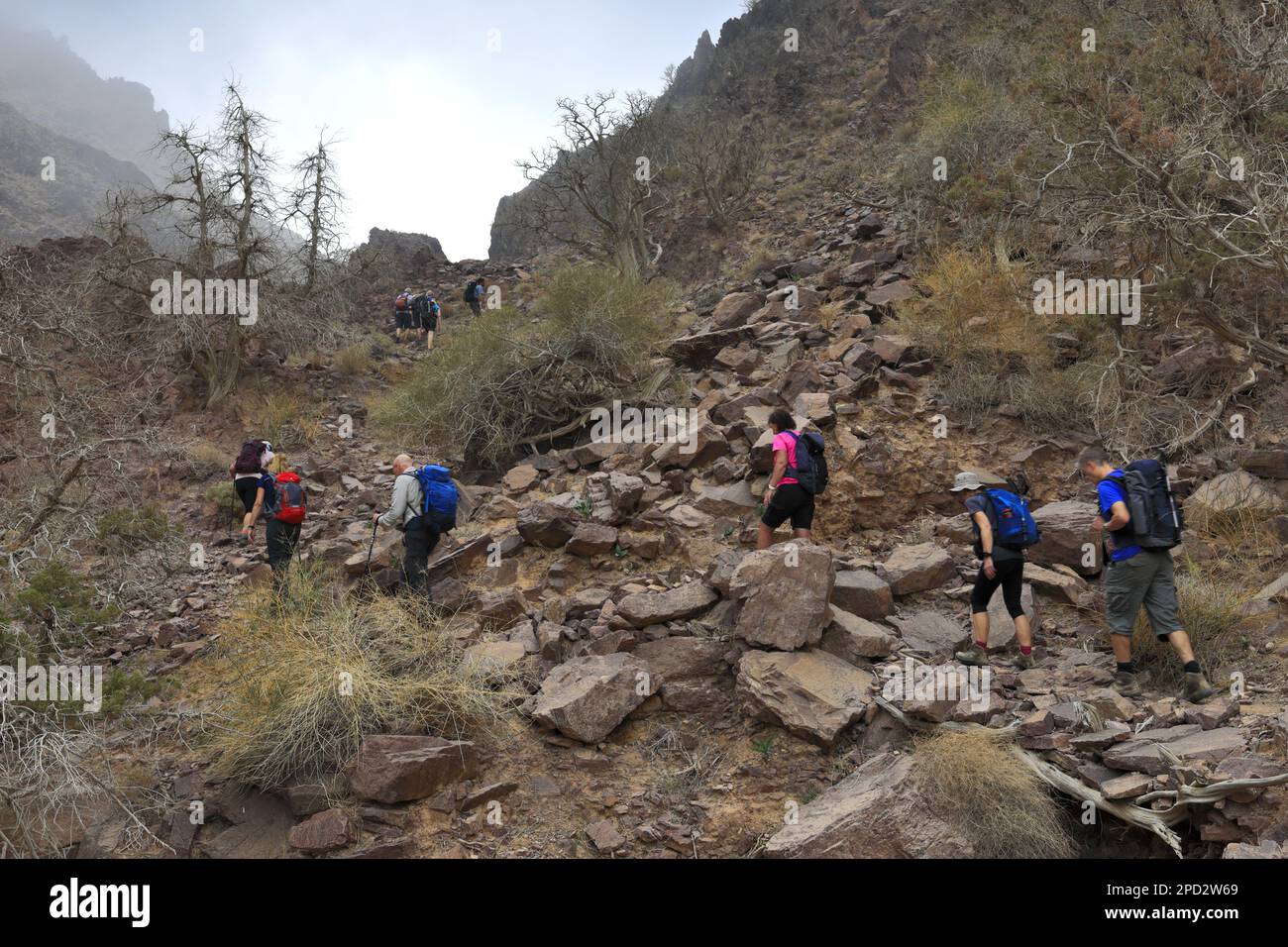 Walkers in the Naqad Gulley, Jabal Fied, Al-Sharat area of Jordan ...