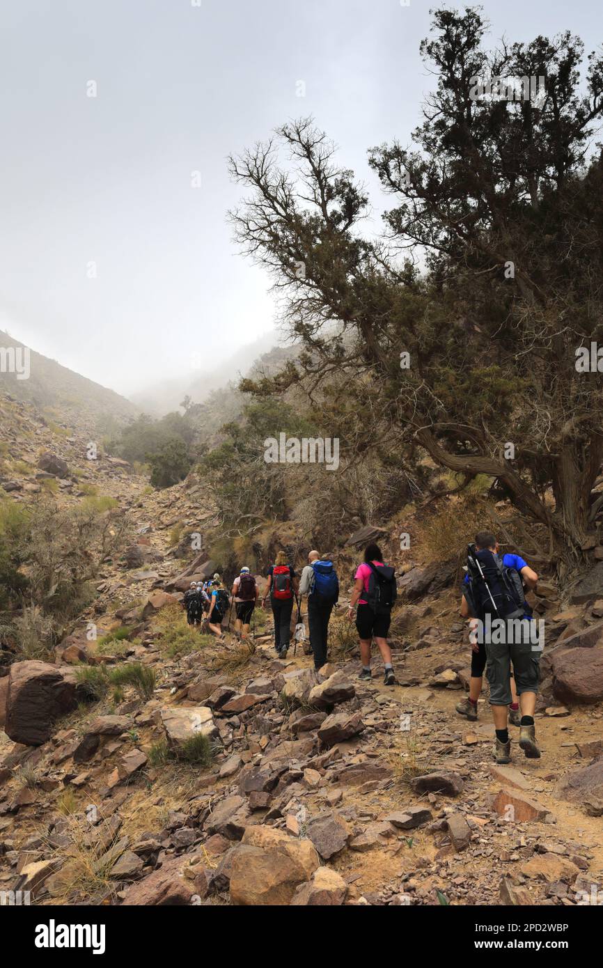 Naqad gulley canyon hi-res stock photography and images - Alamy