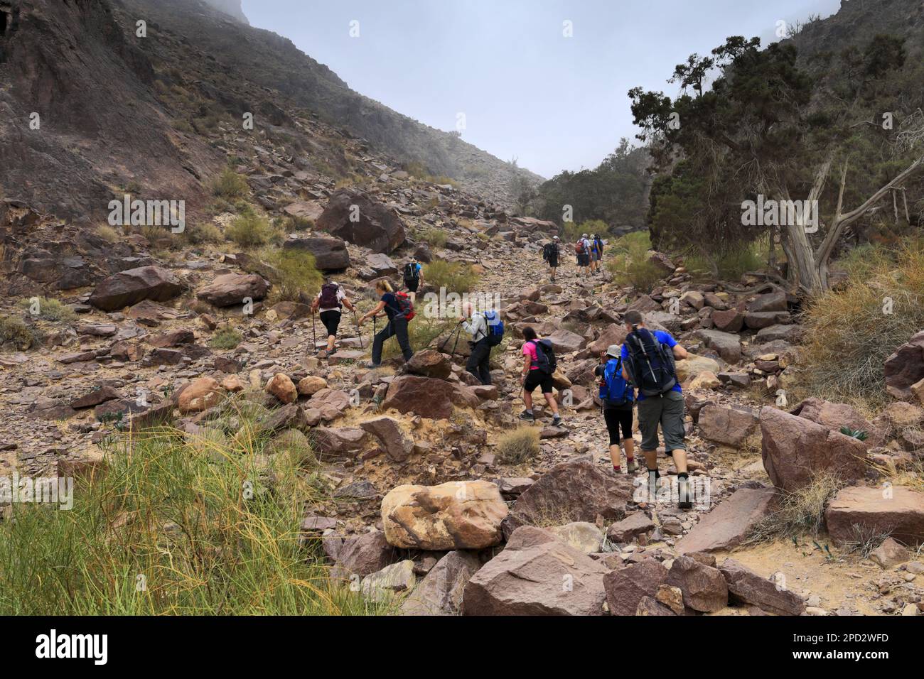 Walkers in the Naqad Gulley, Jabal Fied, Al-Sharat area of Jordan ...