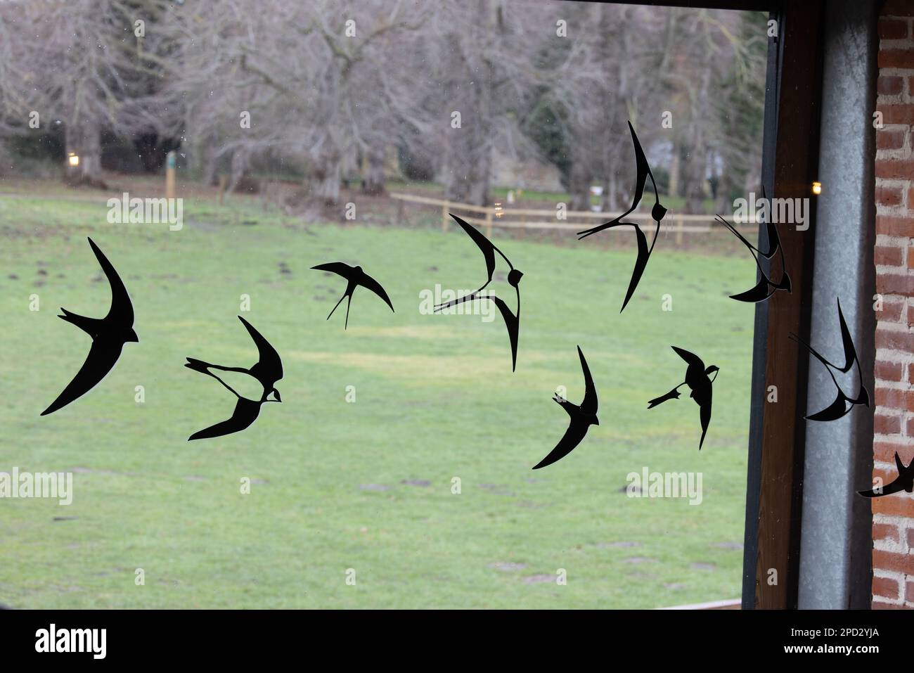 Bird deterrent window stickers Whitlingham CP Norfolk GB UK January ...