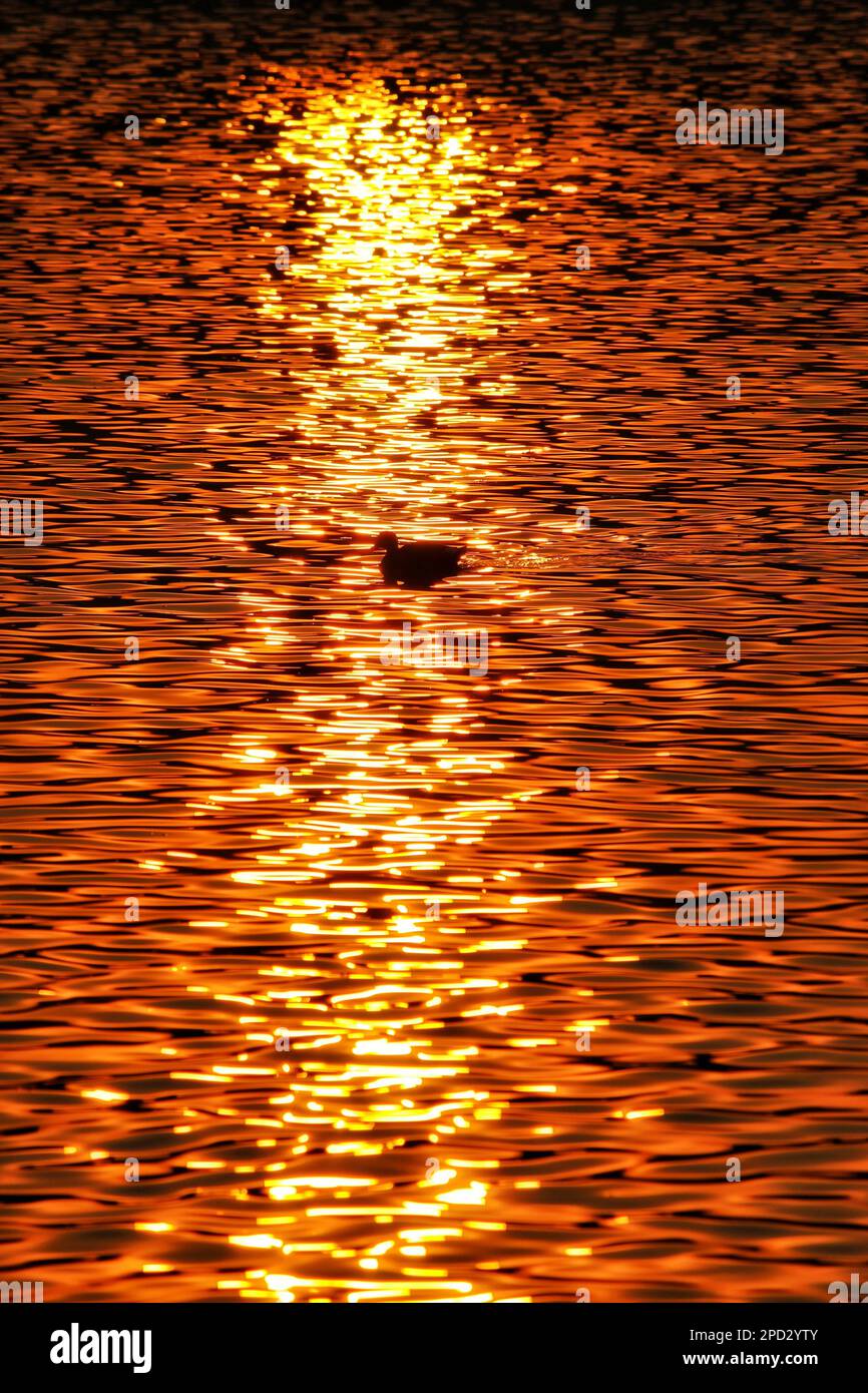 The reflection of light on water in the morning Stock Photo - Alamy