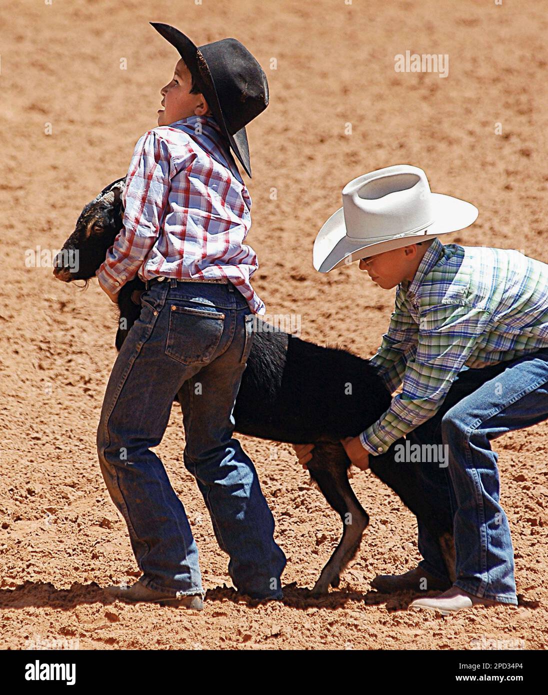 Derek Runyan, left, and Trace Montano handle a goat at the New Mexico ...