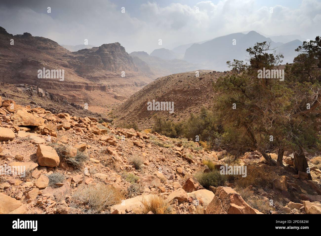 Landscape over Naqib Shadyed at the top of Naqad Gulley, Jabal Fied, Al ...