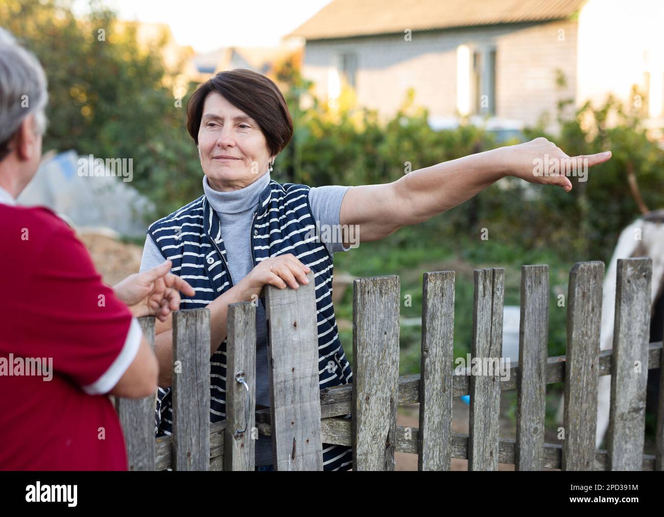 Neighbors standing at fence outdoors and having conversation. Village ...