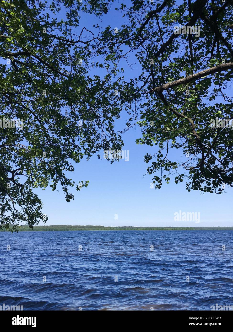 Beautiful lake with blue water. Tree branches in the foreground Stock ...