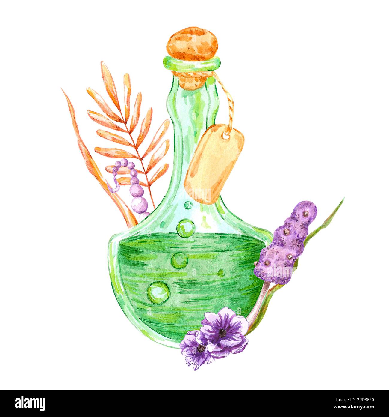 Watercolor magical poison composition. Isolated on white background ...