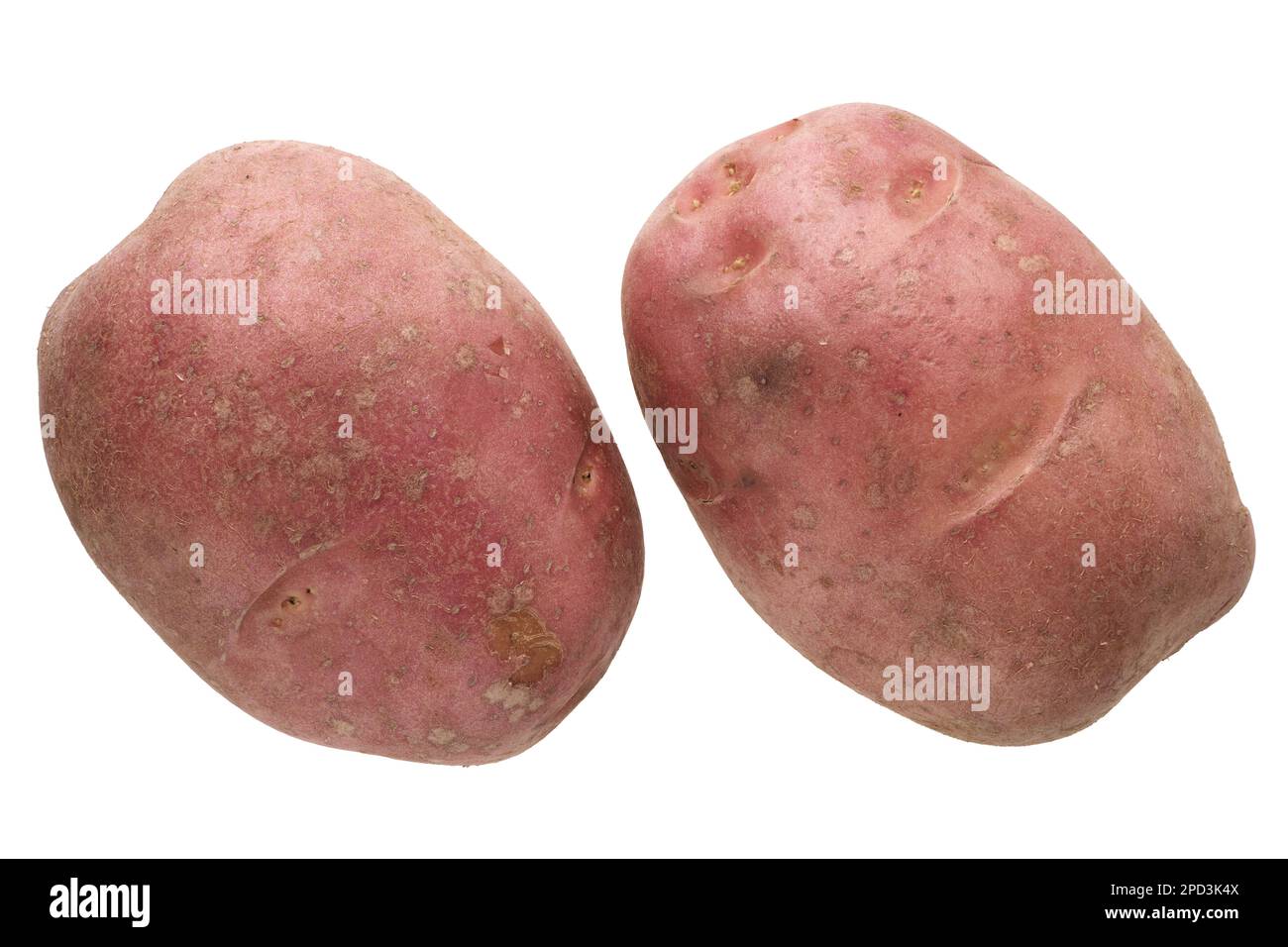 Washed red potatoes, isolated on white background Stock Photo - Alamy