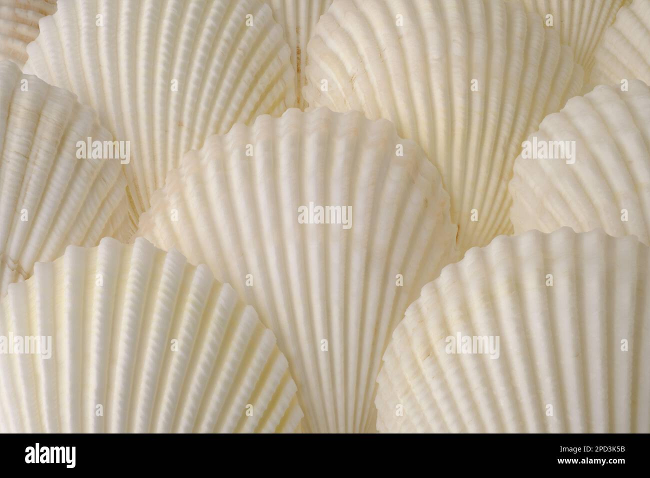 Natural sea background hi-res stock photography and images - Alamy