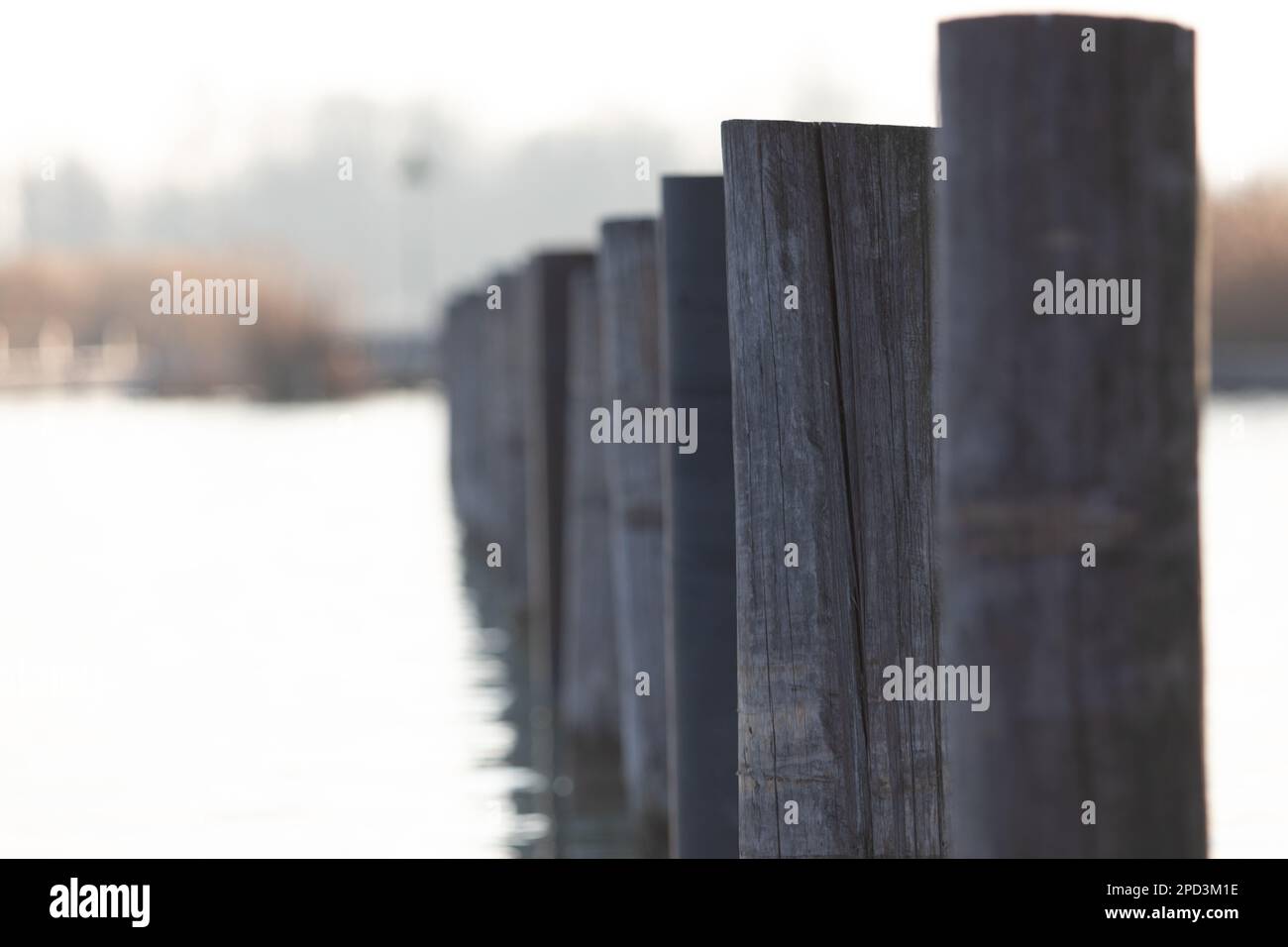 Austere field hi-res stock photography and images - Alamy