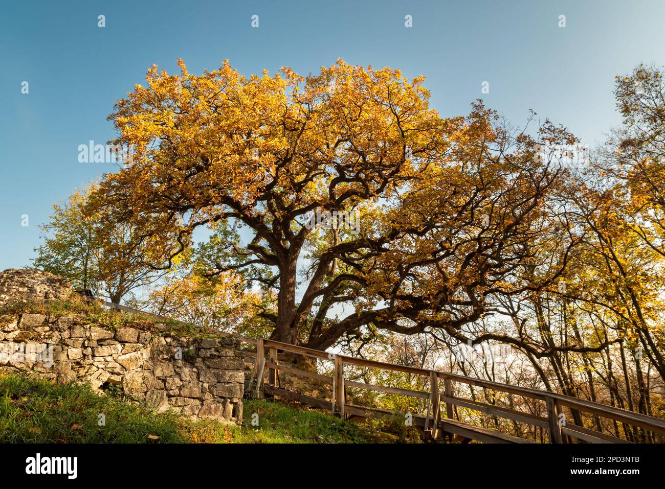 Ancient castle ruins near by lake Balaton in Hungary. The name is ...