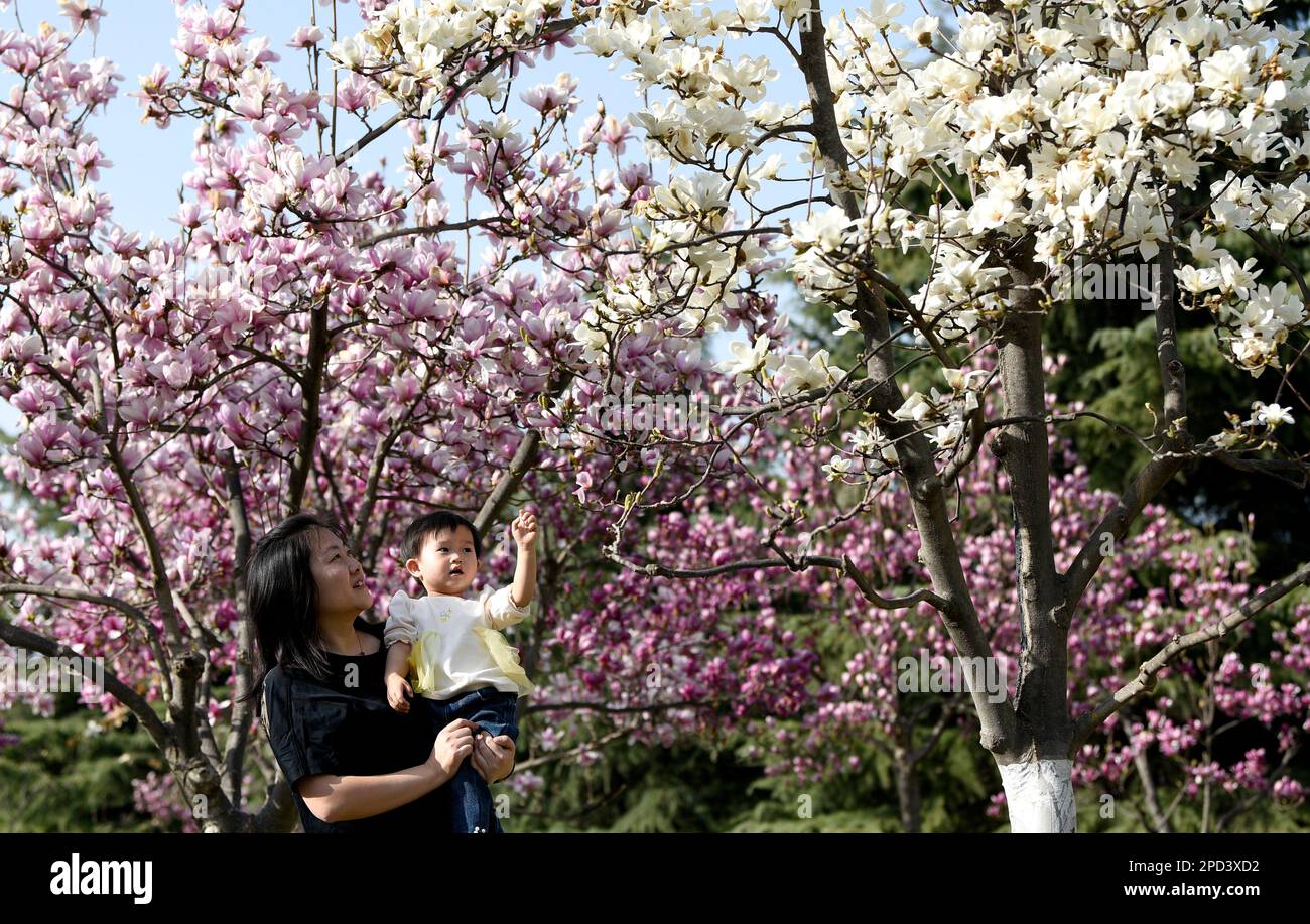 Xi'an, China's Shaanxi Province. 14th Mar, 2023. Tourists enjoy spring scenery at Daming Palace ...