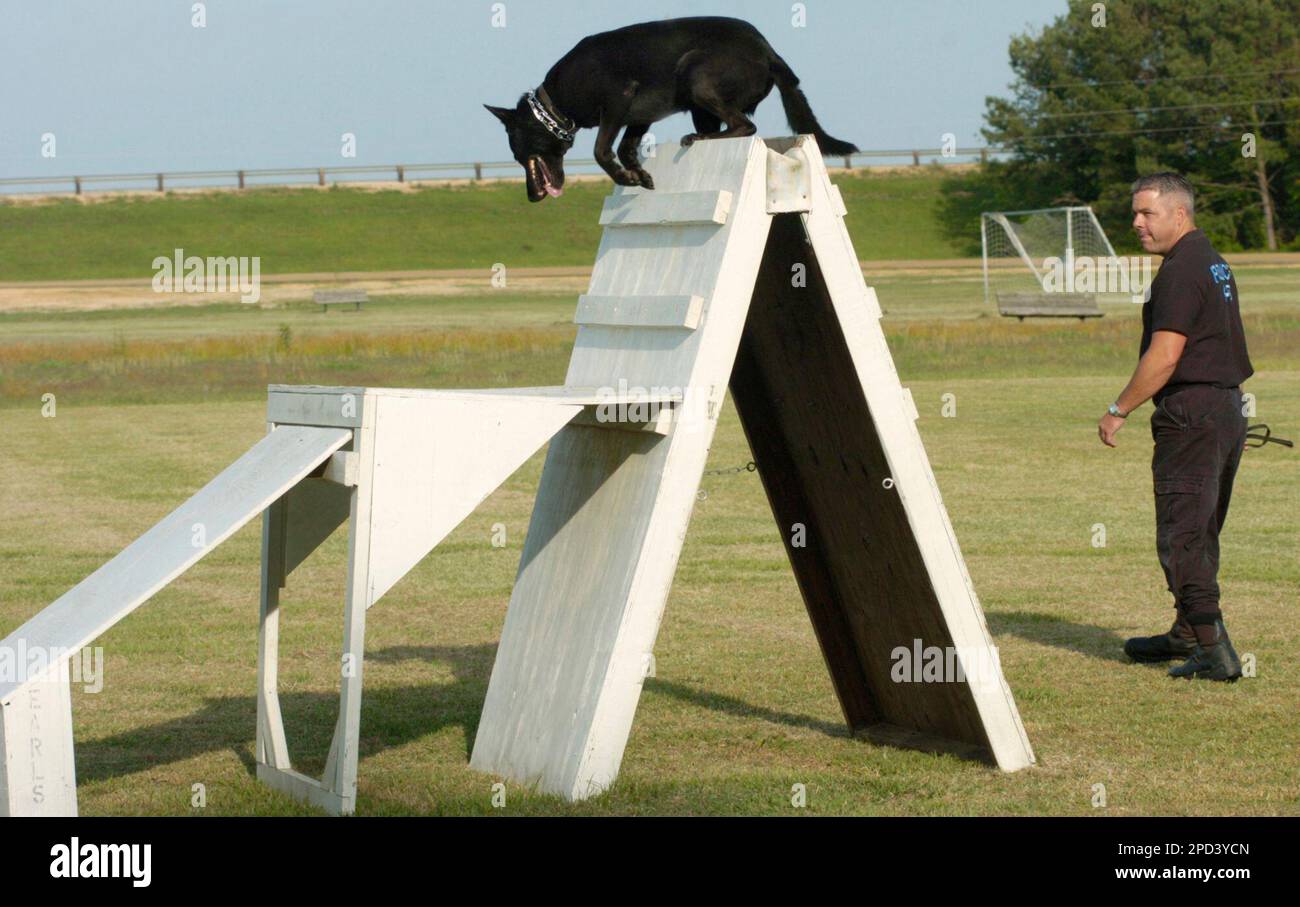 Ridgeland , Miss., Police Department canine Robbie and his handler ...