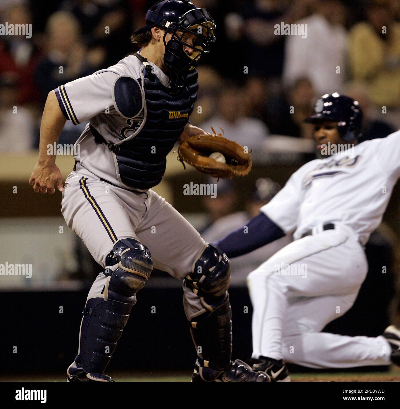 Milwaukee Brewers catcher Damian Miller takes in a late throw as San ...