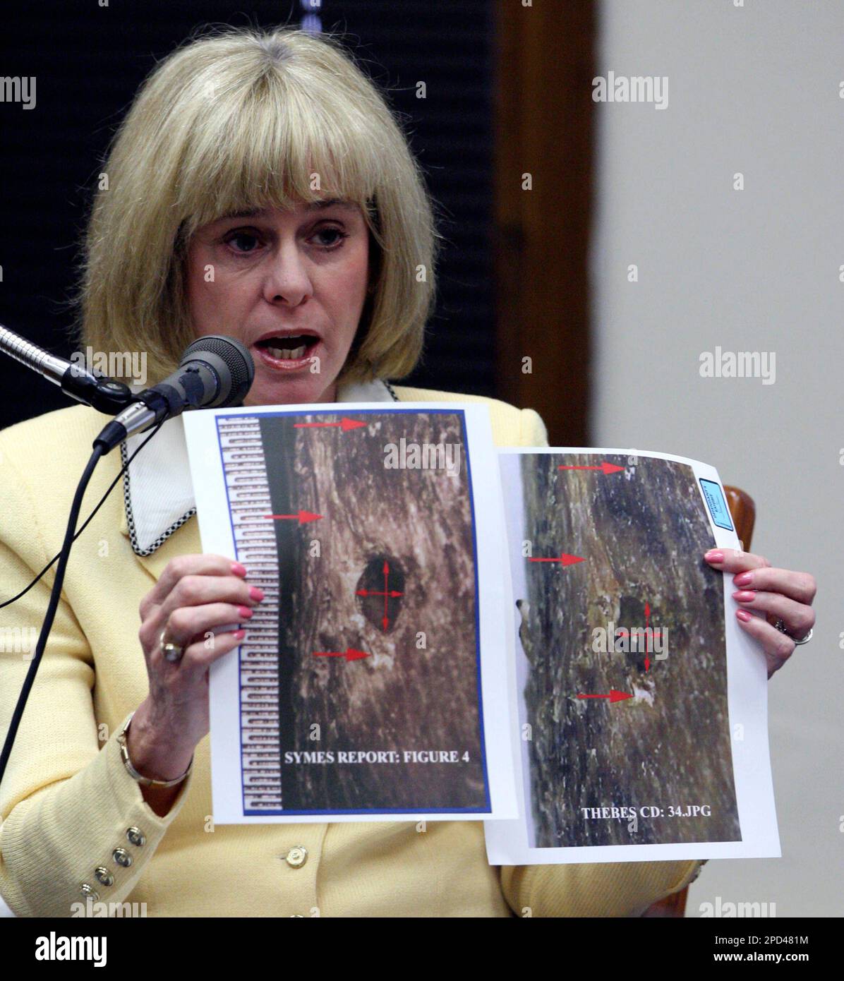 Forensic anthropologist Kathleen Reichs testifies during the murder ...