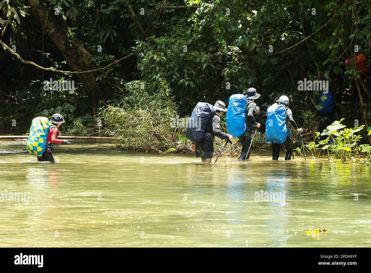 Tourists walk across the water back through the forest to the campsite ...