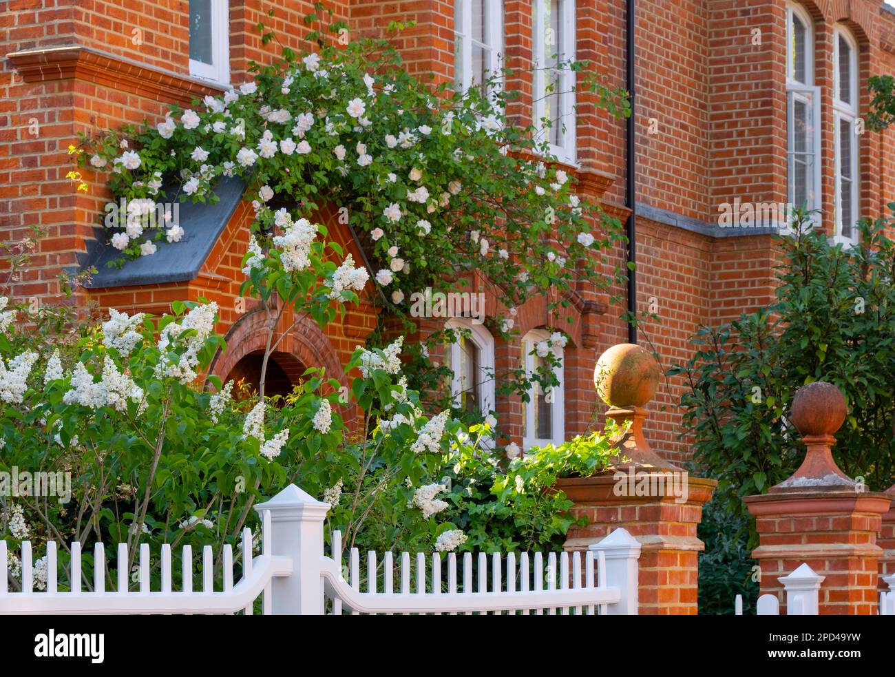 Roses and Lilac growing around the doorway of an Arts and Crafts house ...
