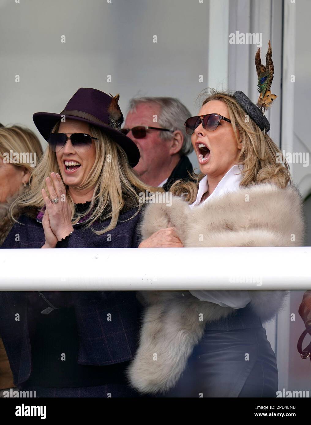 Carol Vorderman (right) in the stands watching the Sporting Life Arkle ...